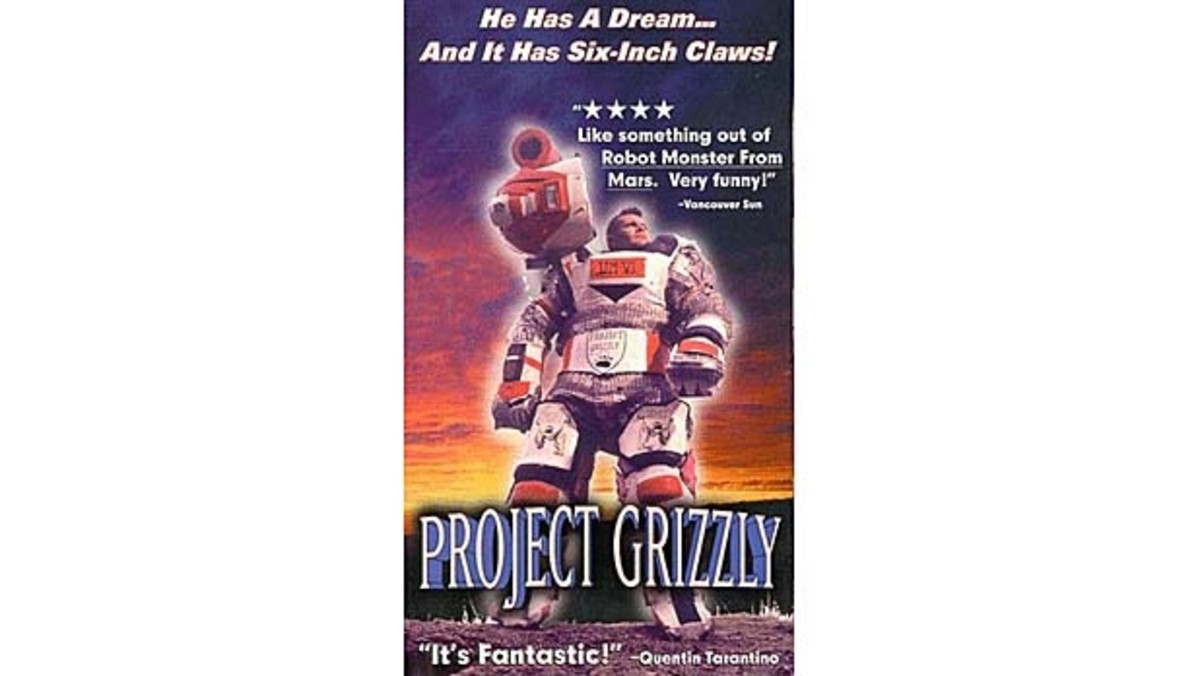 The 10 Best Bear Movies, Ranked by Realism