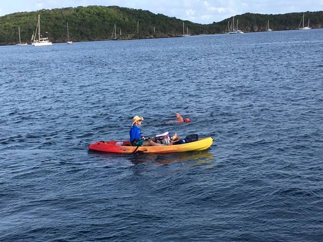 Endurance Swimmer Matt Moseley Rocks First Leg, Makes it to St. Thomas