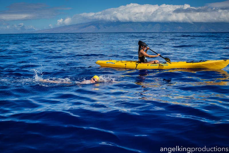 Tiger shark approaches swimmer on record swim between Hawaiian Islands
