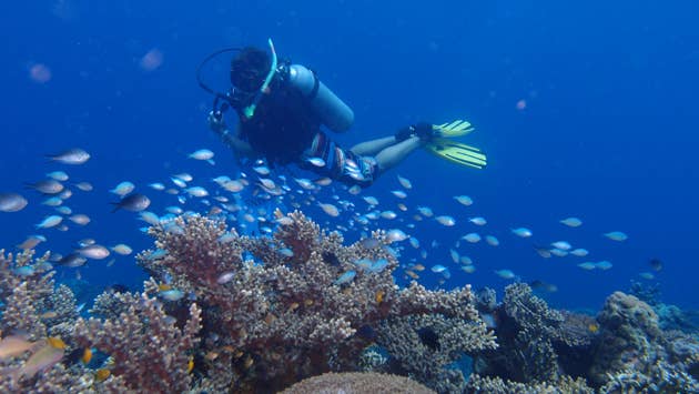 Top 10 Volunteer Adventure Trips
