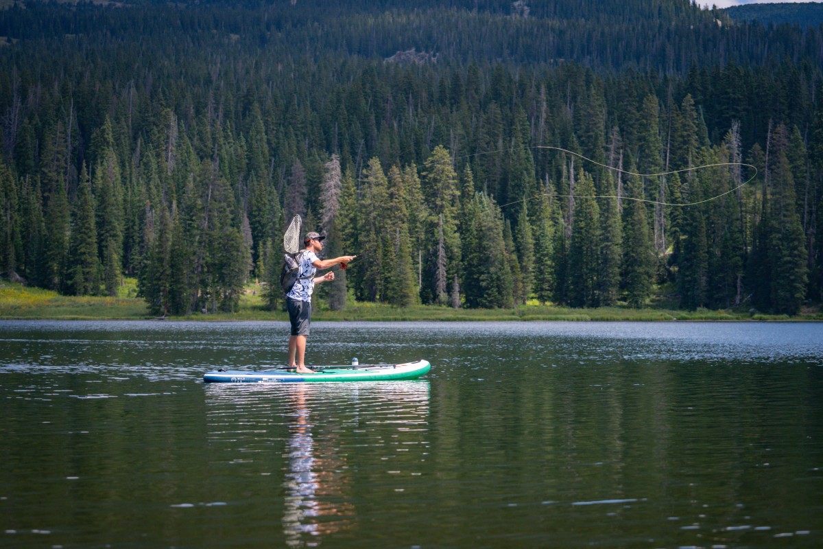 SUP to Table: How to Forage for Food on a Paddleboard Trip