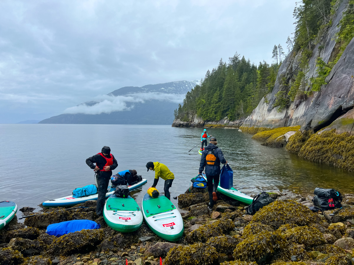 SUP to Table: How to Forage for Food on a Paddleboard Trip