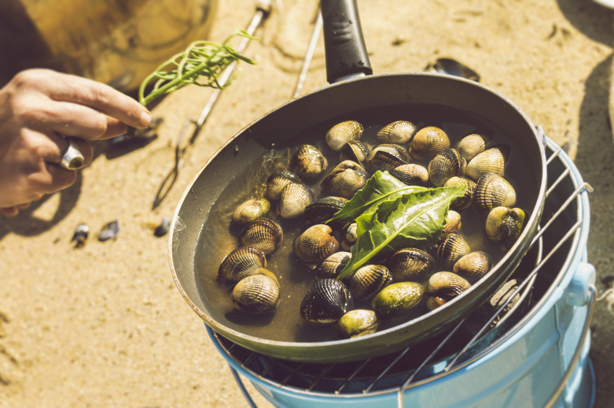 SUP to Table: How to Forage for Food on a Paddleboard Trip