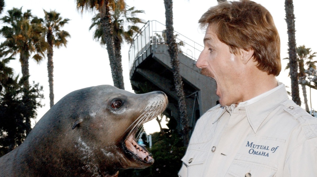 'Mutual of Omaha's Wild Kingdom' Revived by NBC - Men's Journal