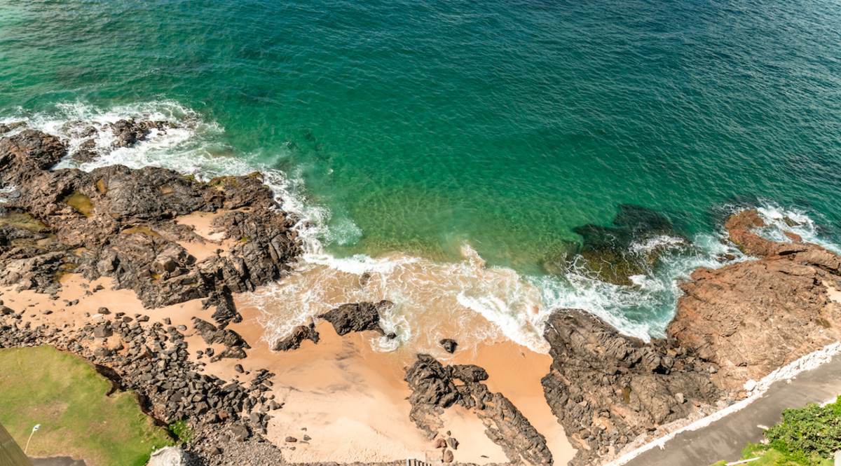 Our Oceans Are Turning Green Because of Climate Change