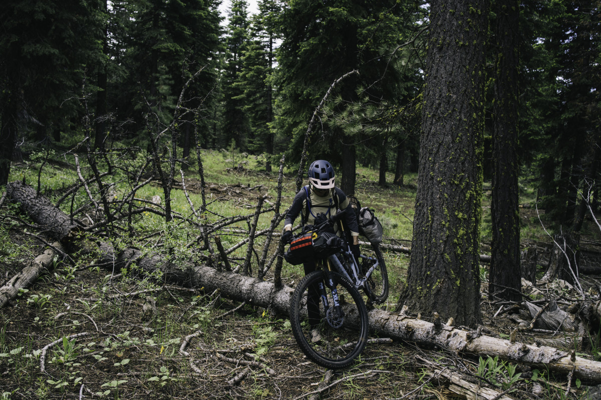 Cyclist Nearly Struck by Falling Tree in Heart-Pumping Storm Footage
