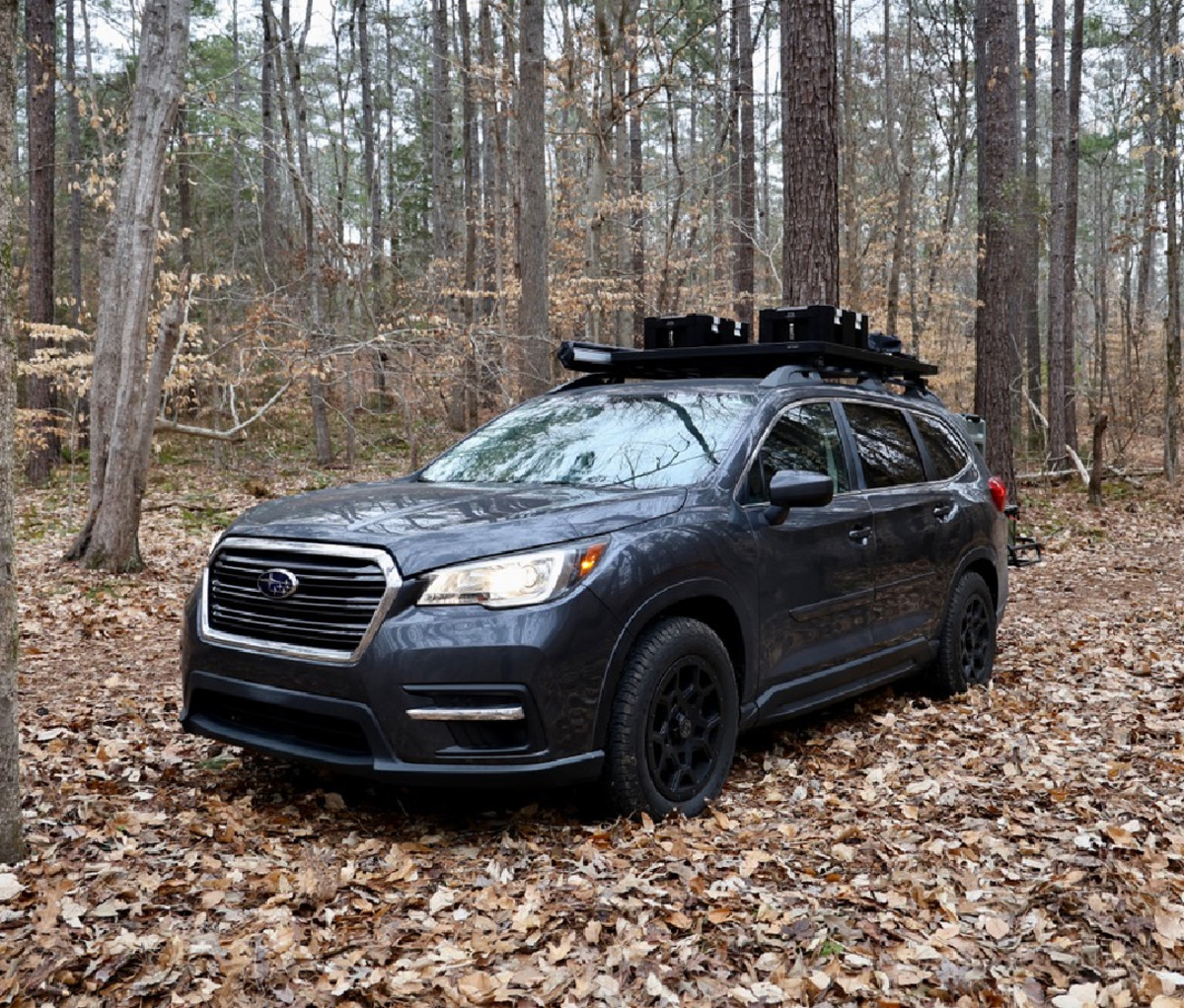 4x4 VS AWD, Explained: What to Know Before You Go Off-Road