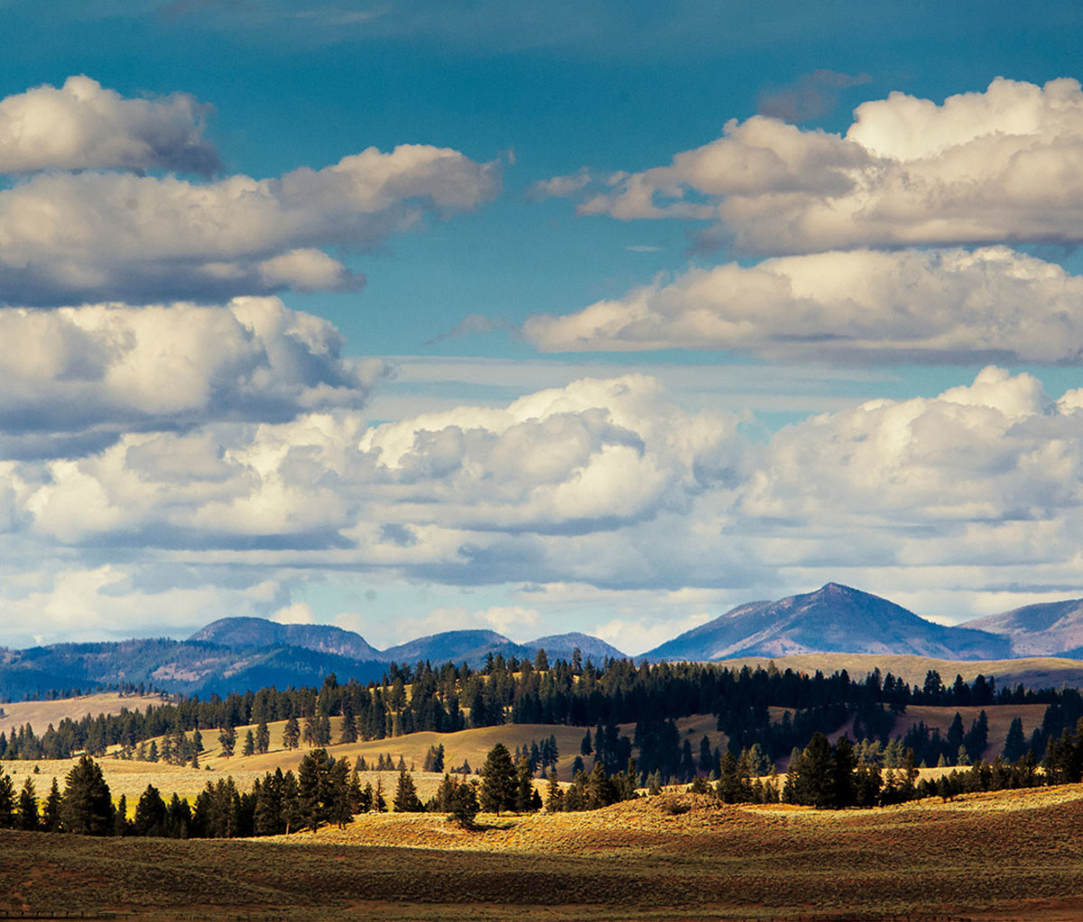 The Resort at Paws Up Is the Best Dude Ranch to Live Like a ...