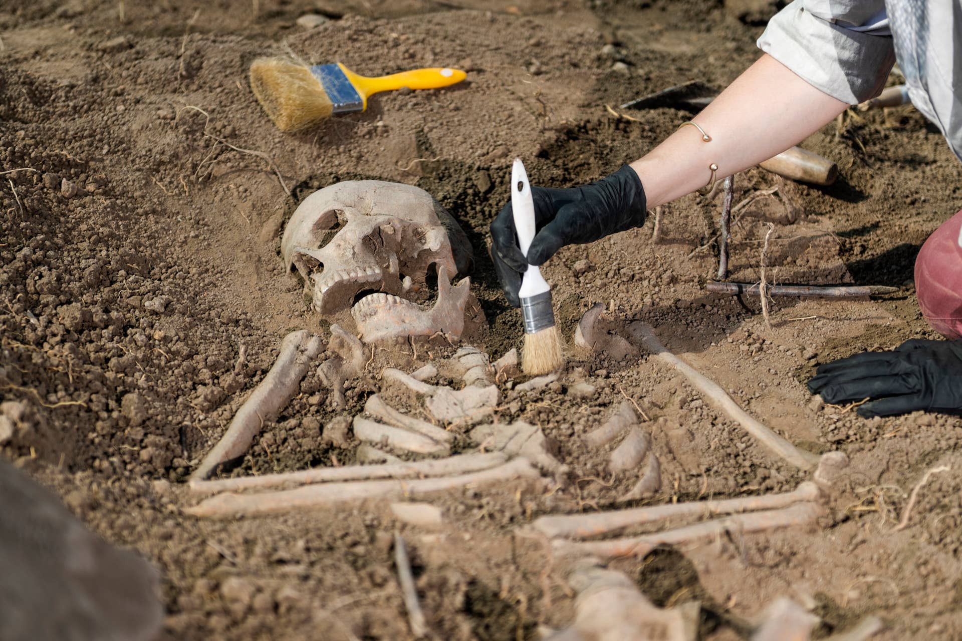DNA Analysis Reveals Shocking Facts About Stone Age Burial Site in France