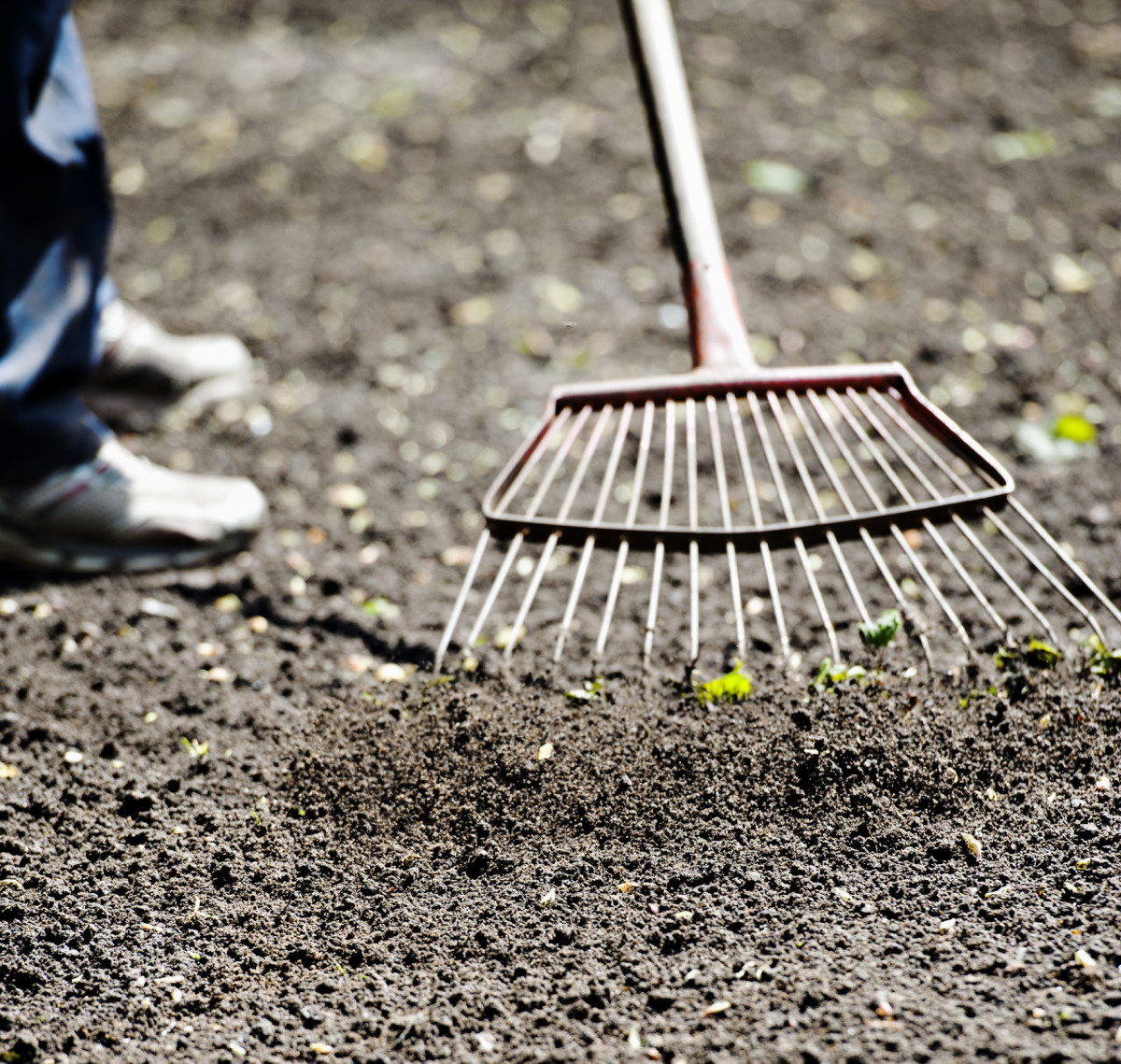 Dormant Grass Seeding Will Improve Next Year s Lawn Men s Journal Home Living Handbook