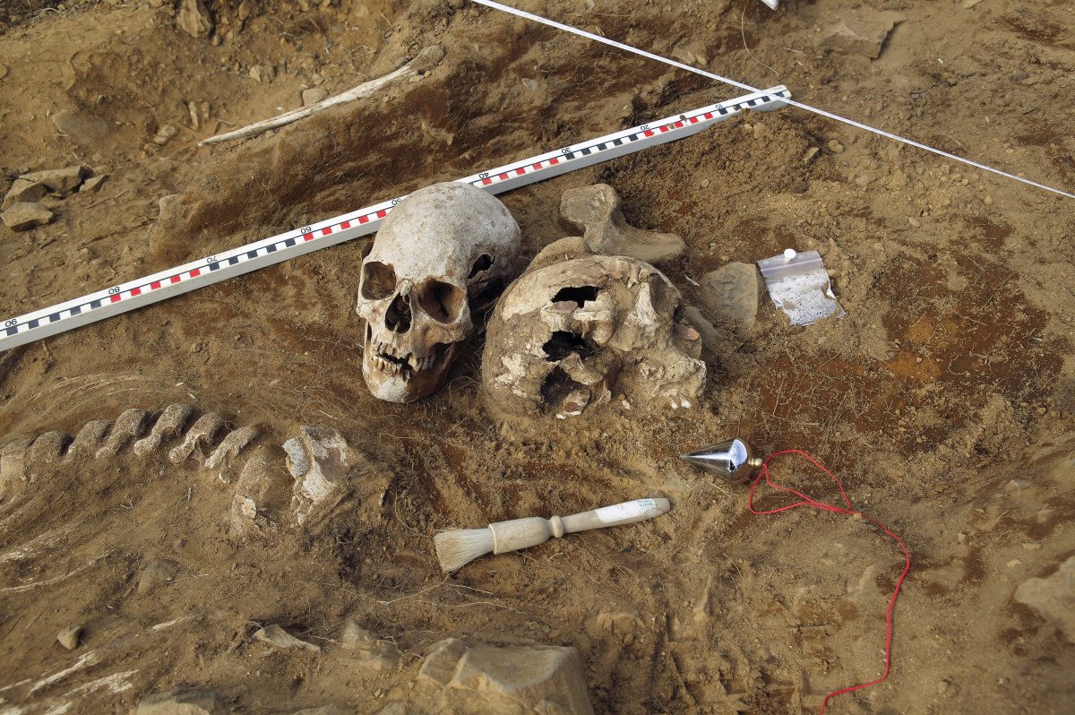 50 Bodies Recovered From ‘Rare’ and ‘Unusual’ Viking Burial Site