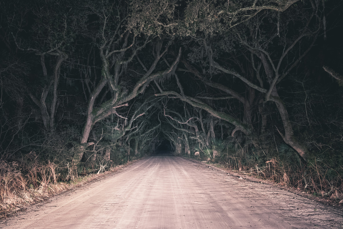 These Are the Most Haunted Roadways in the United States, Report Finds