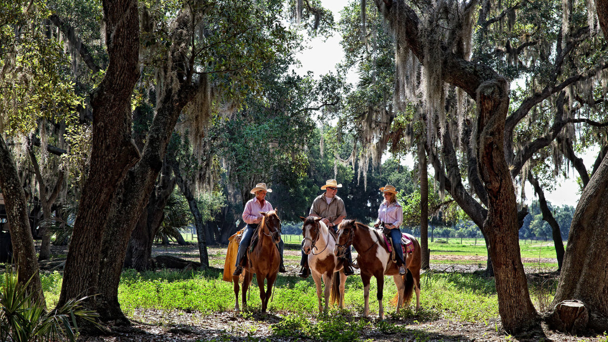 Florida's Westgate River Ranch & Rodeo Travel Review