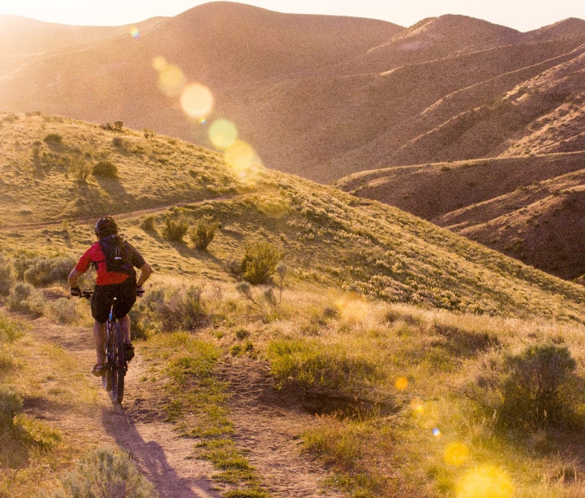 10 Wild Things to Do in Boise, from Brewery-Hopping to Skiing, Biking ...