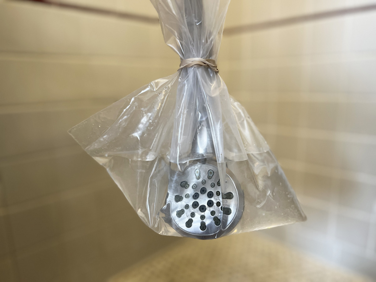 How to clean shower head with vinegar store