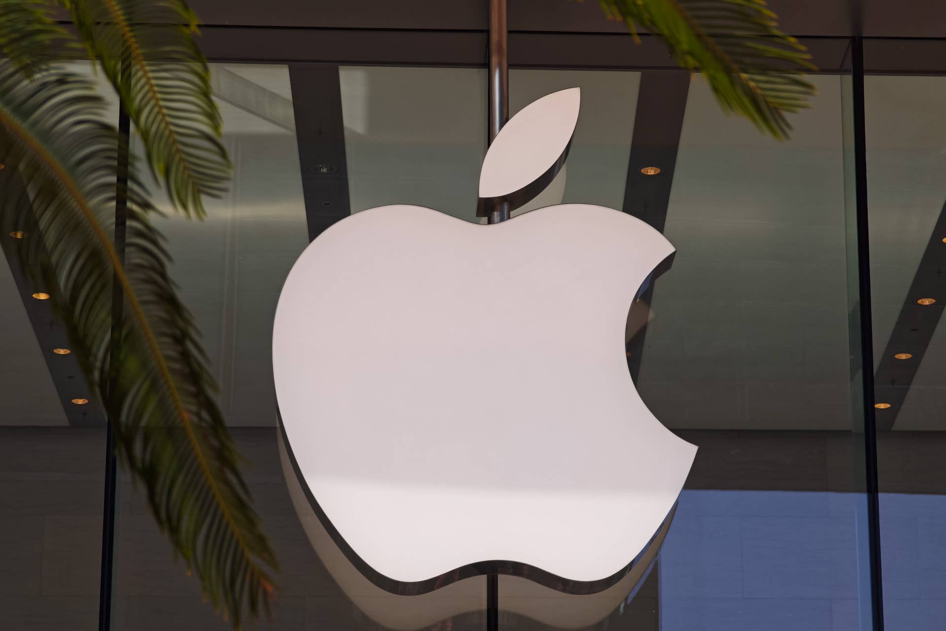 Apple Future Logo Apple Gives Details Of Which Video And Audio Codecs