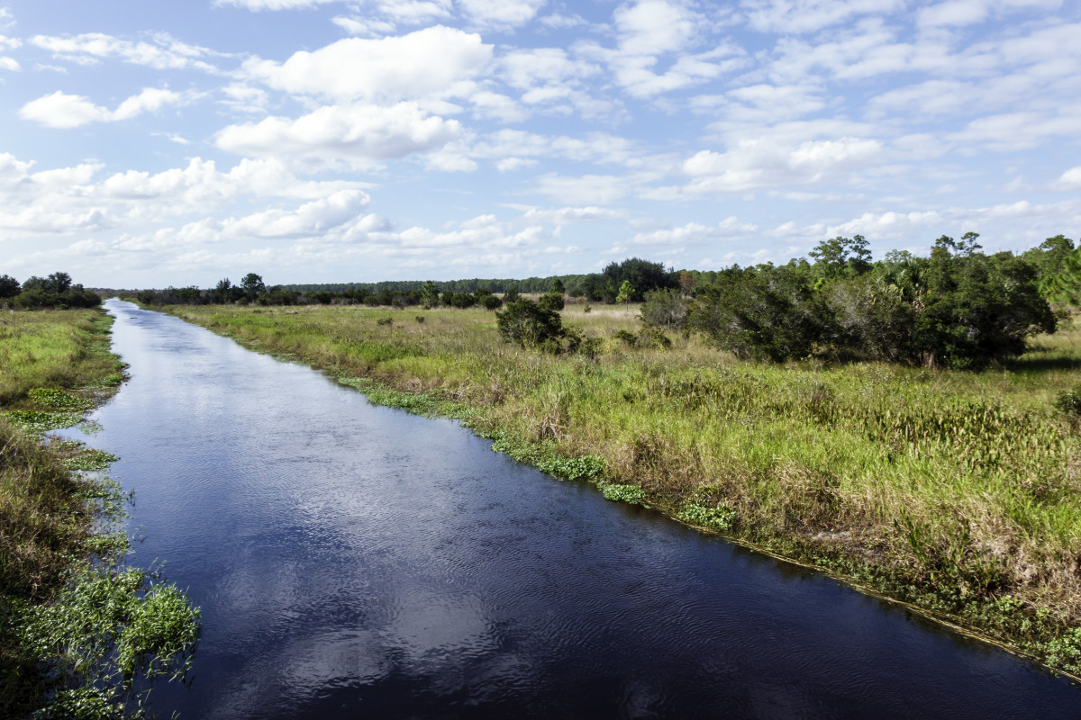 Terrible Details Emerge From Fatal Alligator Attack on U.S. Lake