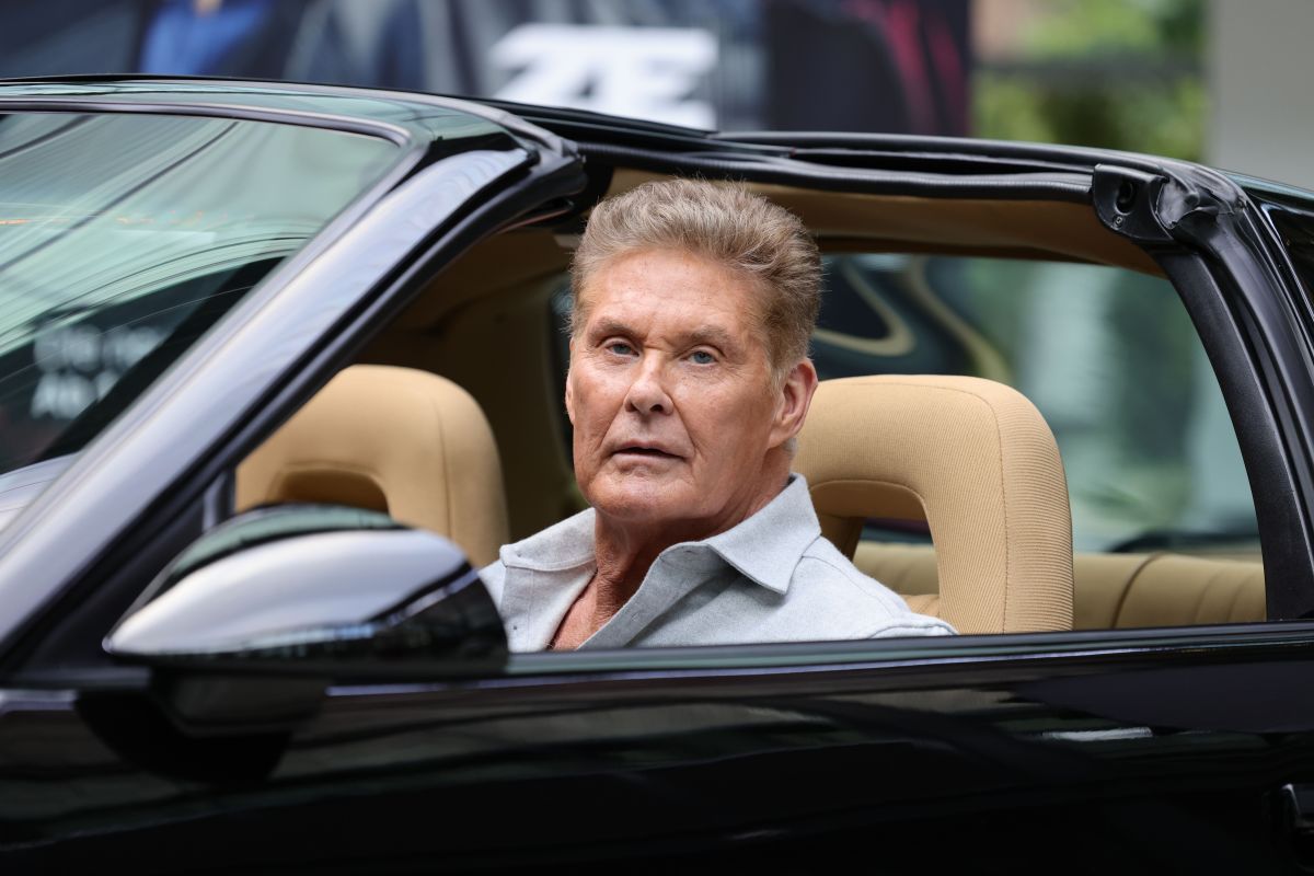 'Frail' David Hasselhoff's Health Problems Land Him in Wheelchair