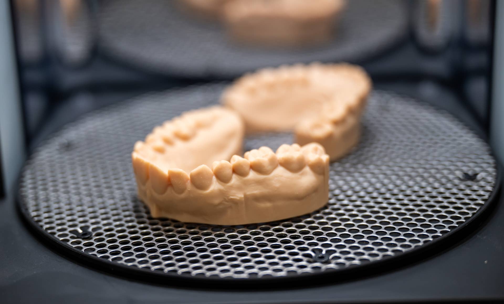 Study Finds the Strange Origin of Human Teeth—And It’s Not the Mouth