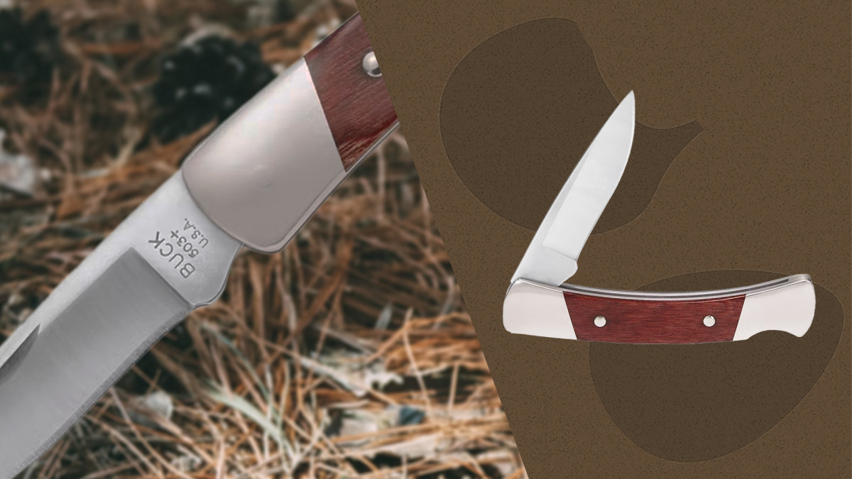 Buck Knives' Prince Pocket Knife Is Now 30% Off at Huckberry