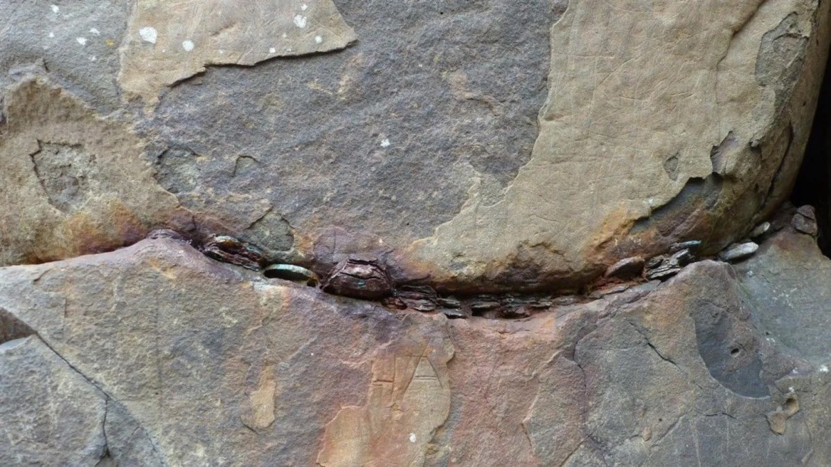 Pocket Change Is Causing Destruction at Giant Causeway, Northern Ireland