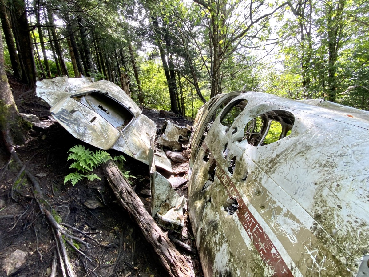 Survivor of Skydiving Plane Crash Breaks Silence