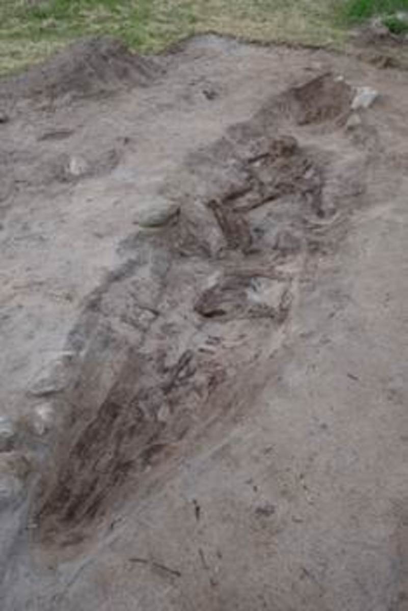 Archaeologists Unearth Extremely Rare Viking Burial