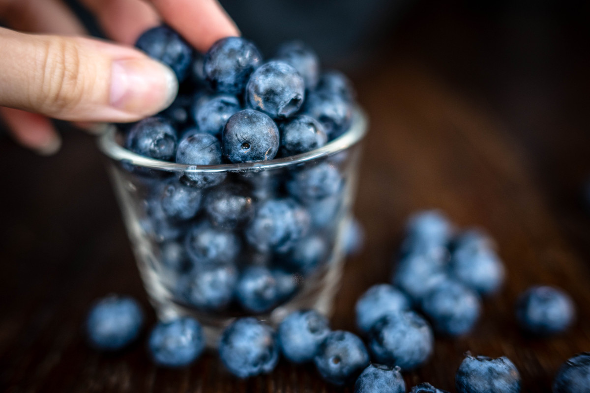 Blueberries Recalled After FDA Issues Highest Warning Over Listeria ...