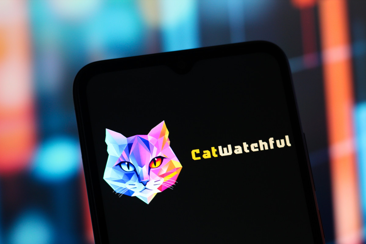 Android 'Safety' App Was Actually Spying on People for Years