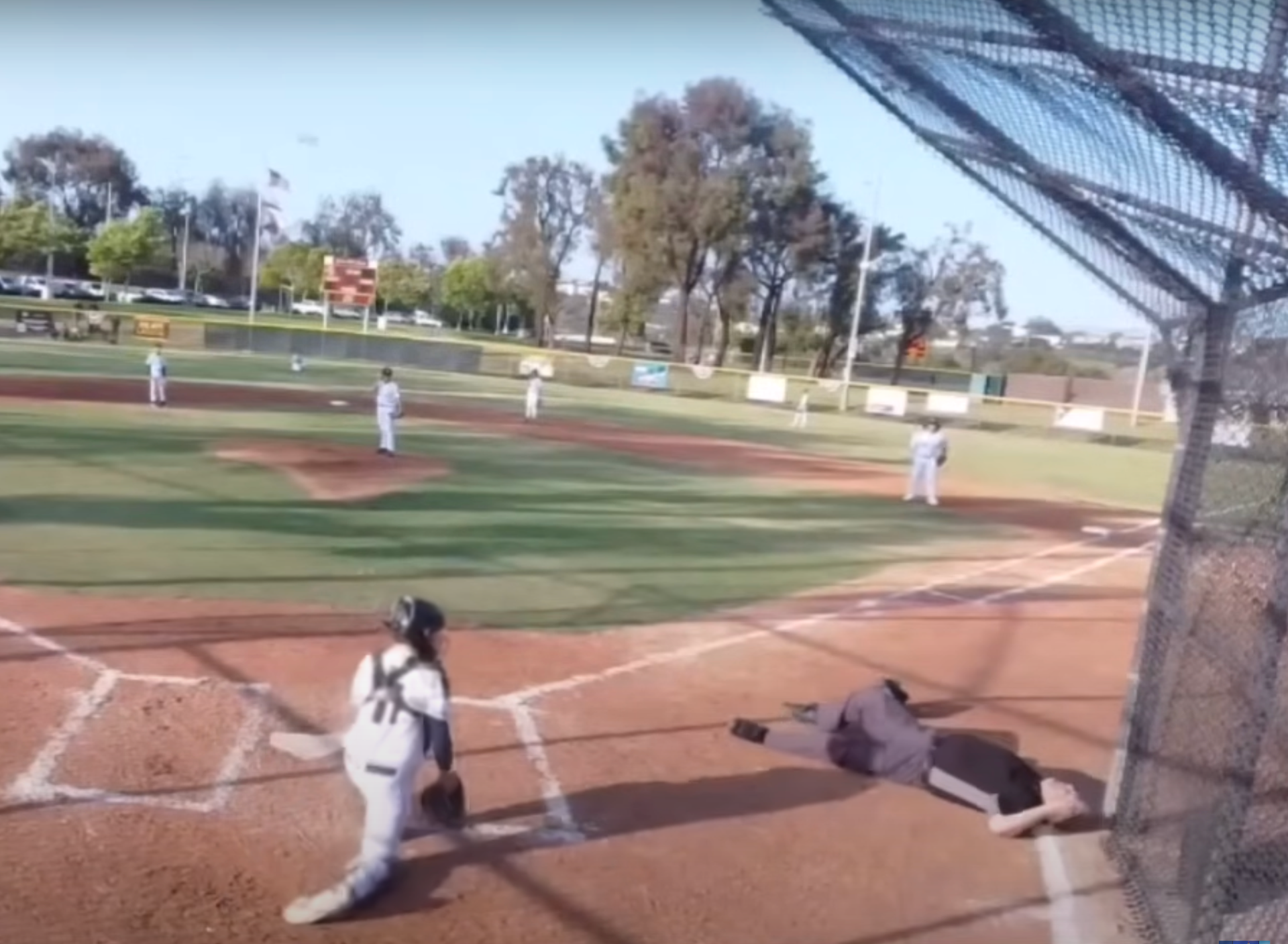 Umpire Suffers Heart Attack and Dies During Baseball Game Before He's ...