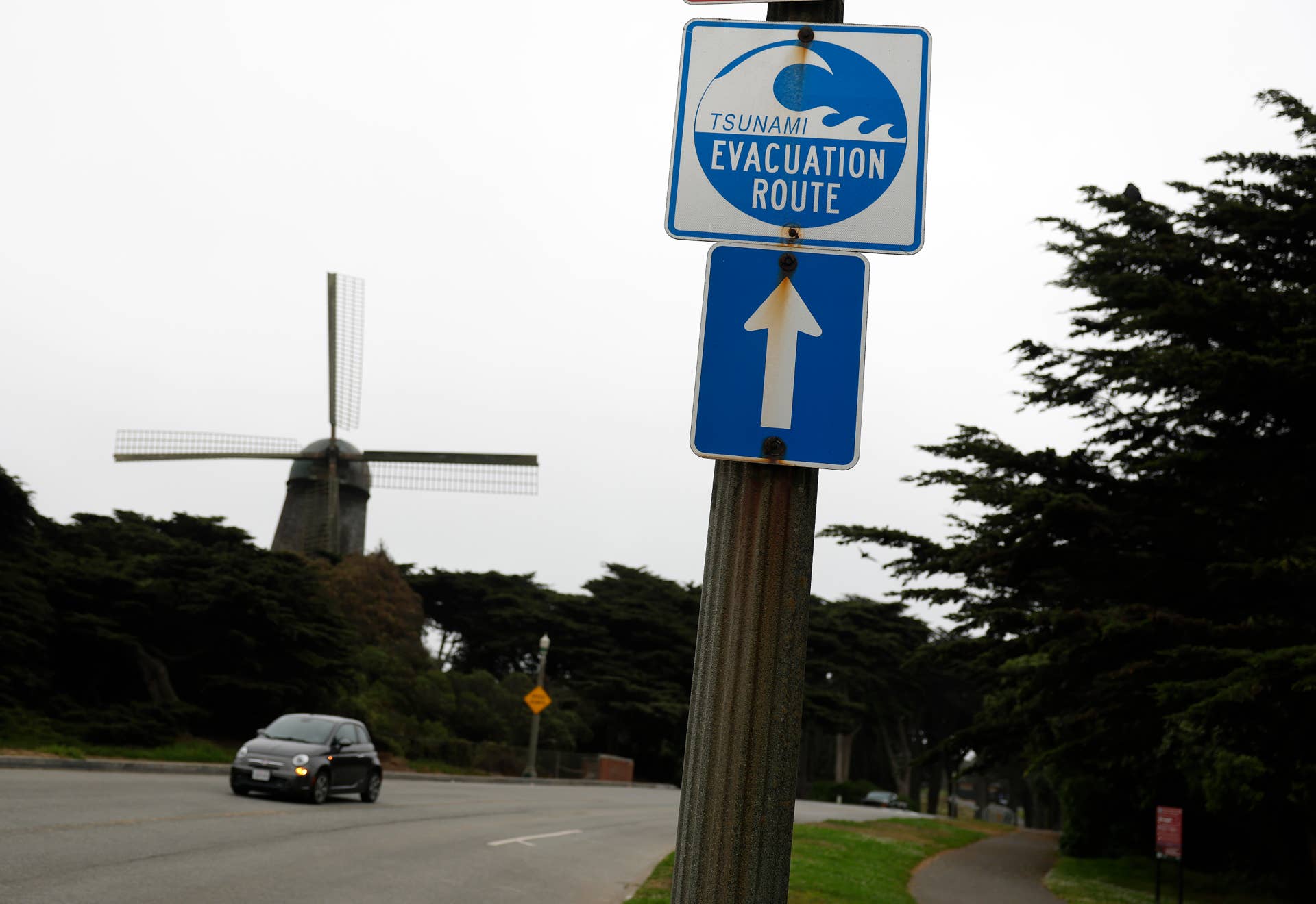 Video Shows Tsunami Causing Wild Fluctuations in California Harbor