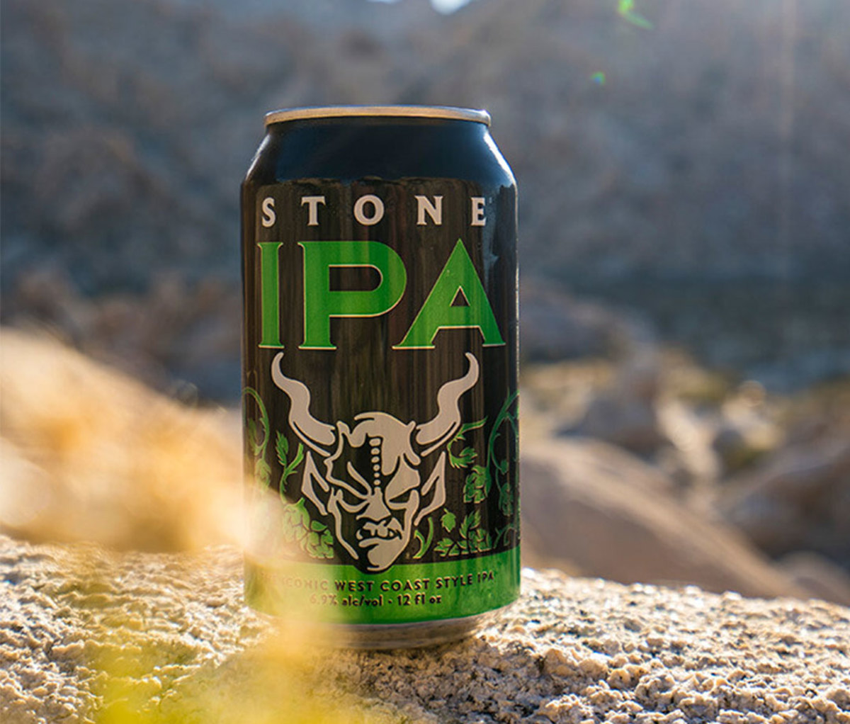 The Best IPA Beer to Drink in Summer