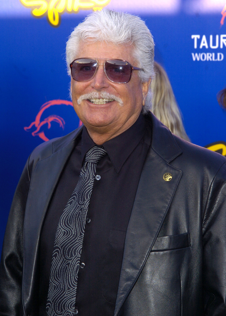 Ronnie Rondell, Legendary Hollywood Stuntman Known for Iconic Pink ...