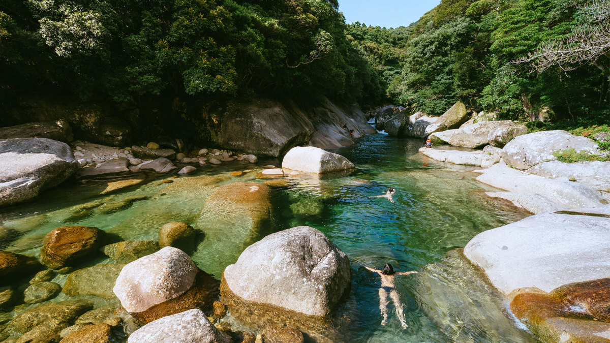 Yakushima Island Is Japan’s Version to Paradise on Earth
