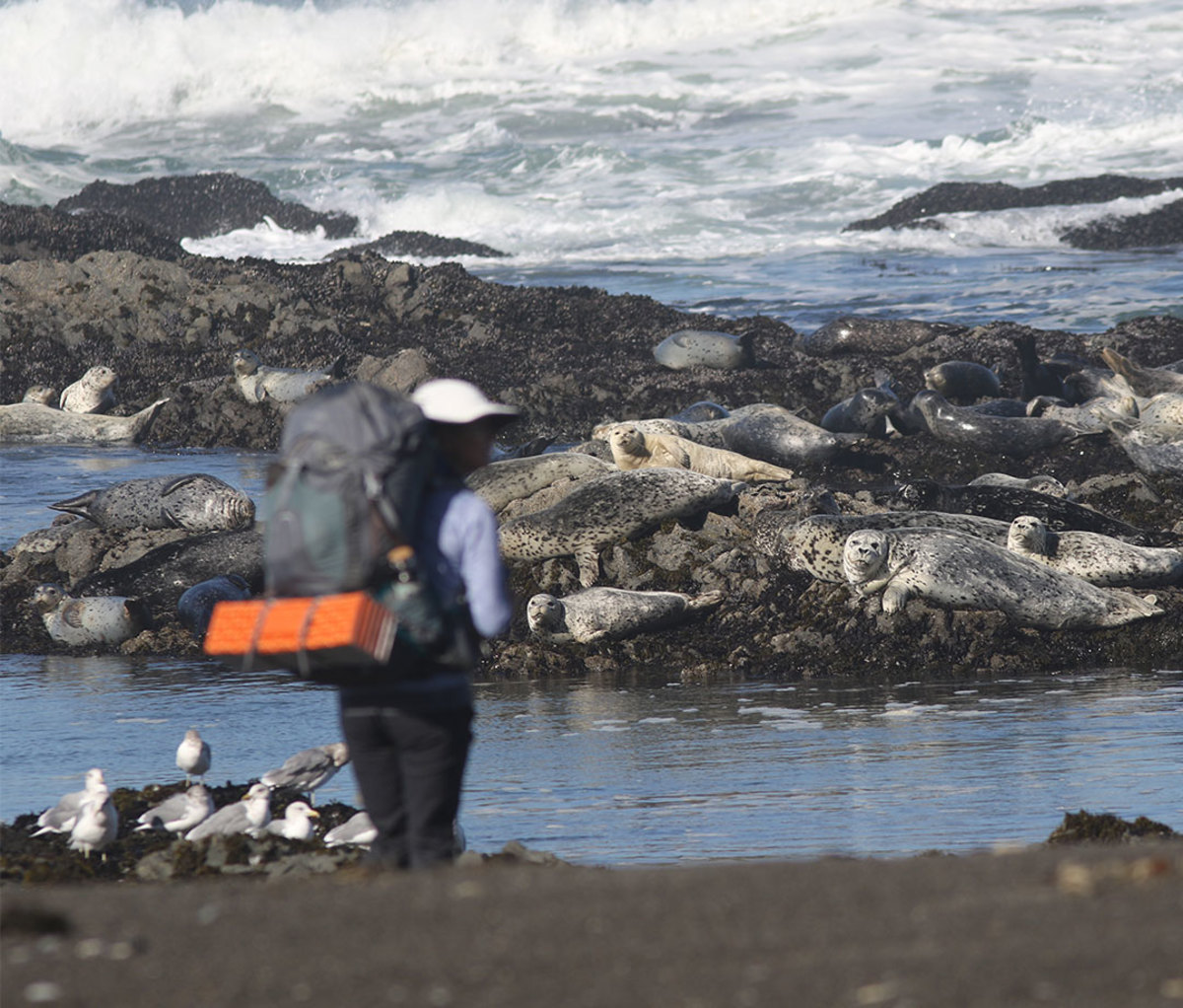 How to Explore the Lost Coast—California’s Adventure Hideout