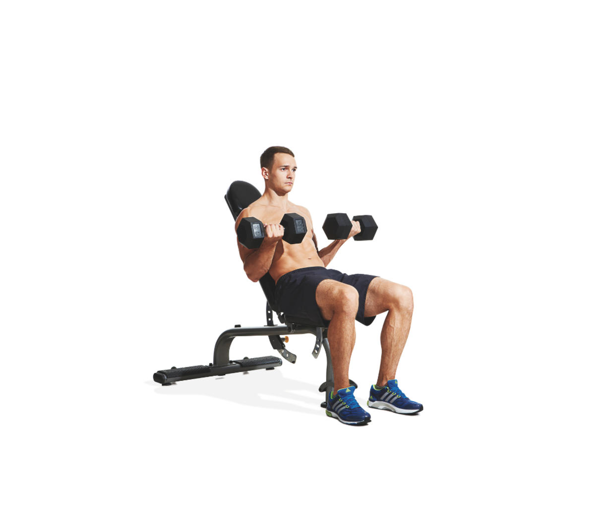 Bicep Curls Diagram 10 Best Bicep Curl Variations To Build Muscle In