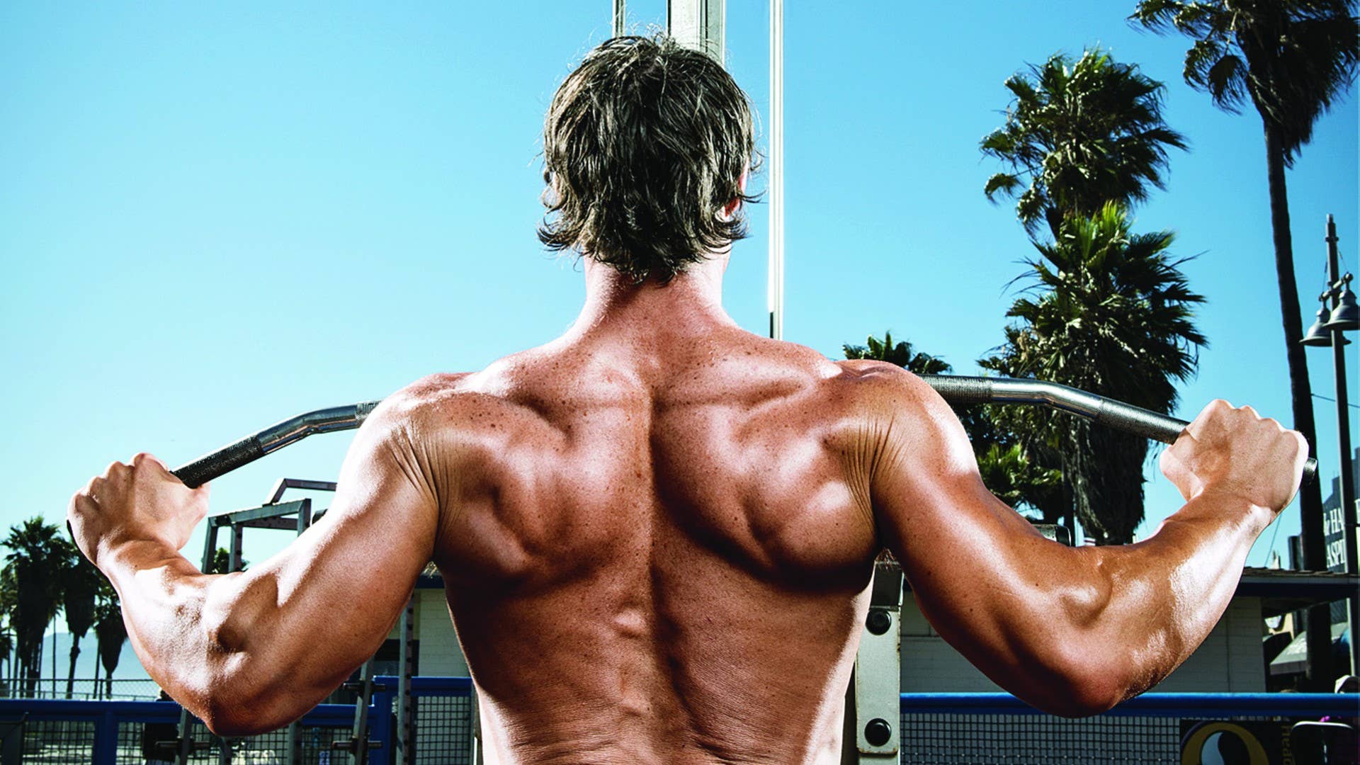 Trapezius Exercises Trap Exercises For Muscle Growth (4 Exercises To