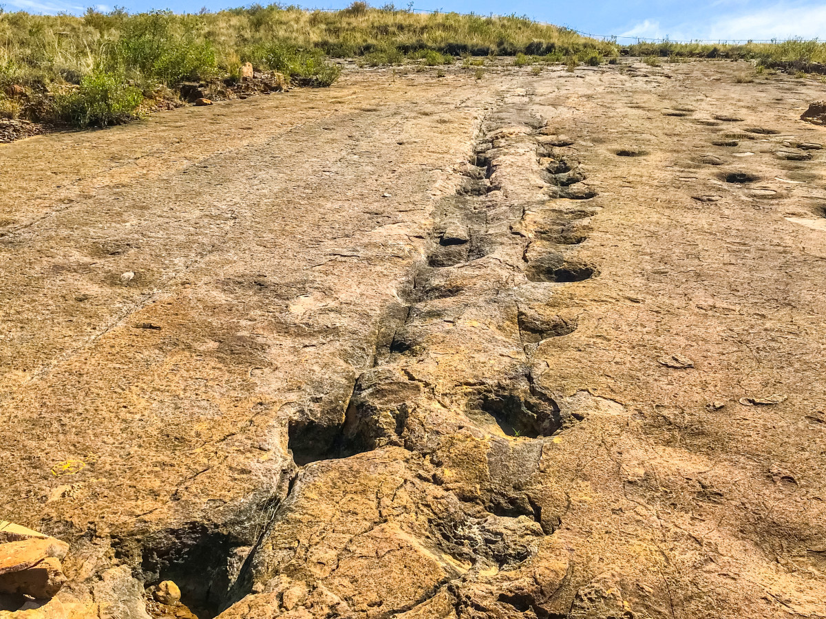 Paleontologists Discover 200M Year-Old Dinosaur Footprints