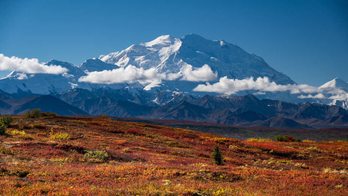 How to See North America's Highest Peak at Camp Denali