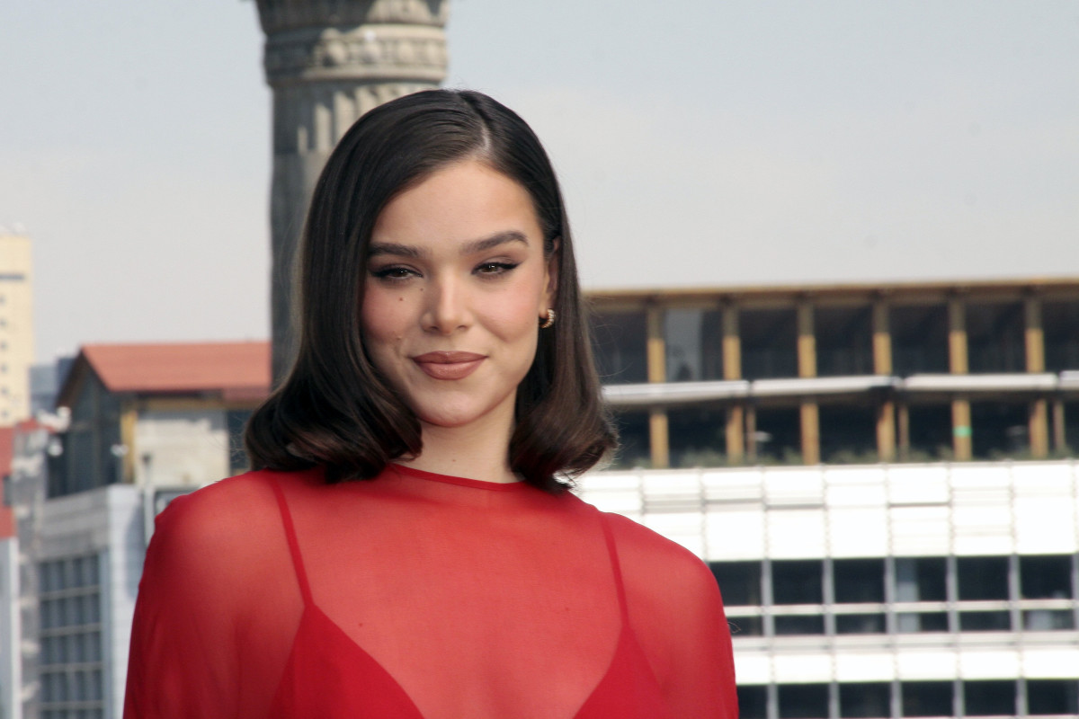 Hailee Steinfeld Causes a Stir With See-Through Outfit