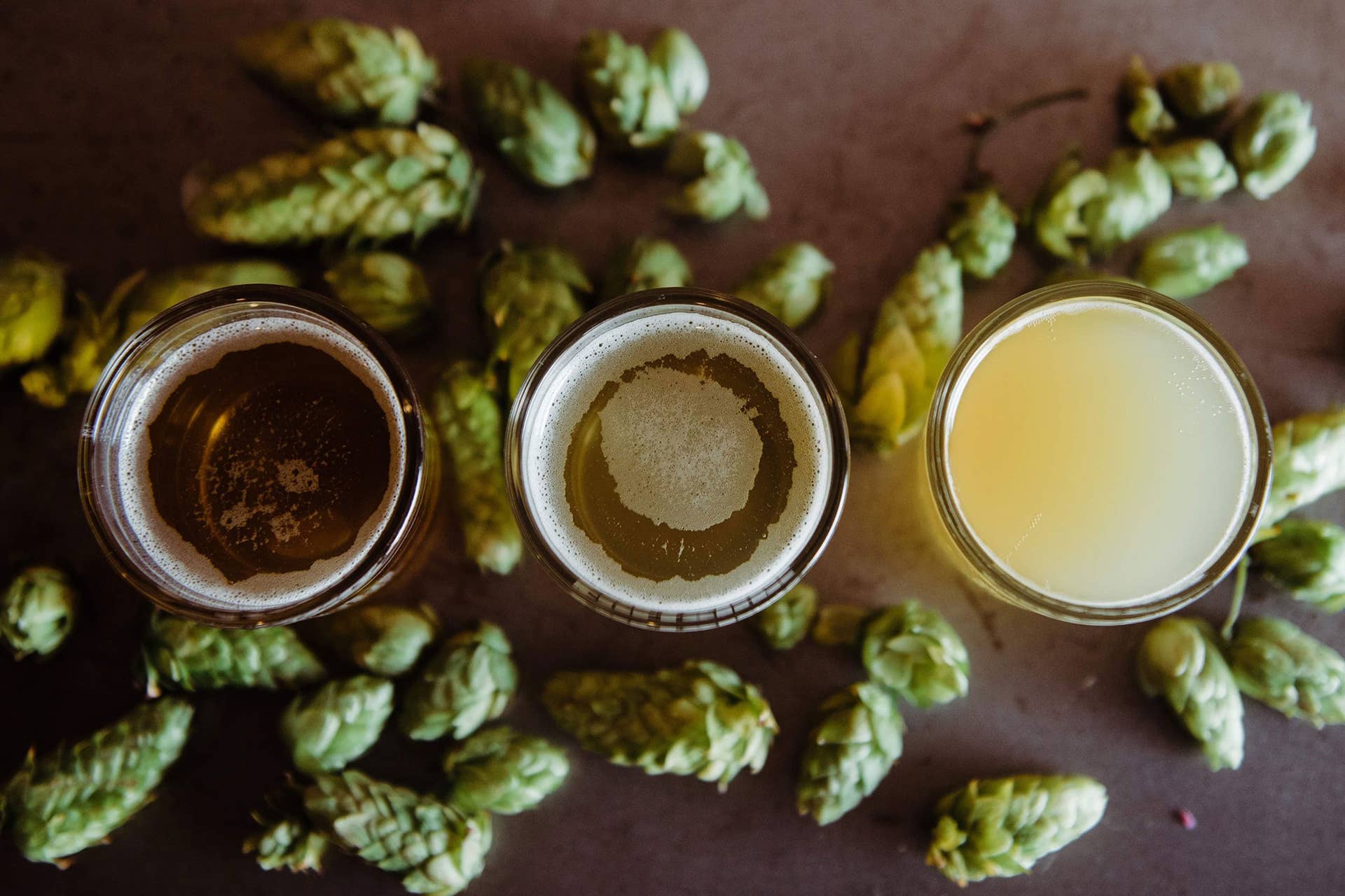 What 10 Popular Hops Varieties Bring to Your Favorite Beers - Men's Journal