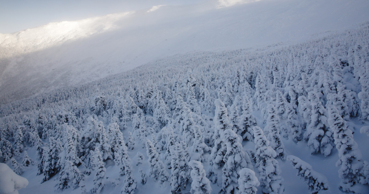 "Much About This World": The Life and Death of Guy Waterman - Men's Journal