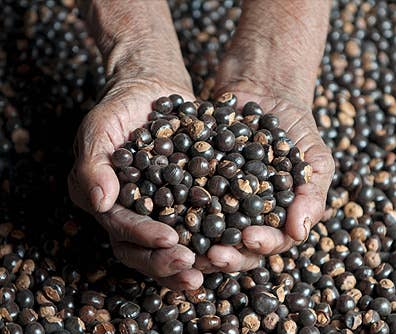 The Top 10 Energy Foods - Men's Journal