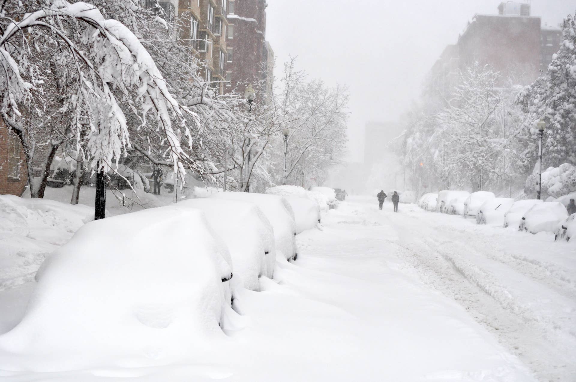 National Weather Service's Blizzard Warning Still In Effect For U.S ...