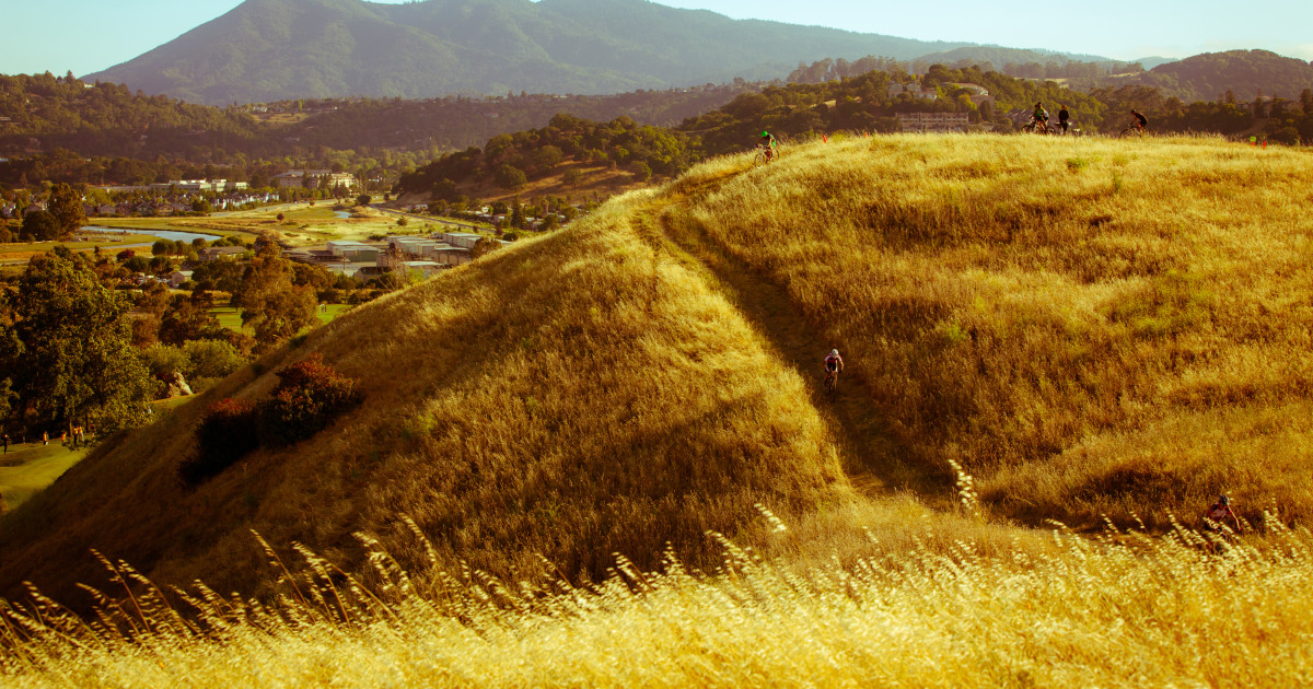 Cyclists Can Get a Speeding Ticket at the Birthplace of Mountain Biking ...