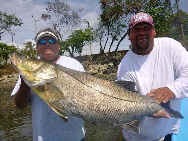 Enormous snook caught in Costa Rica could net angler a world record ...