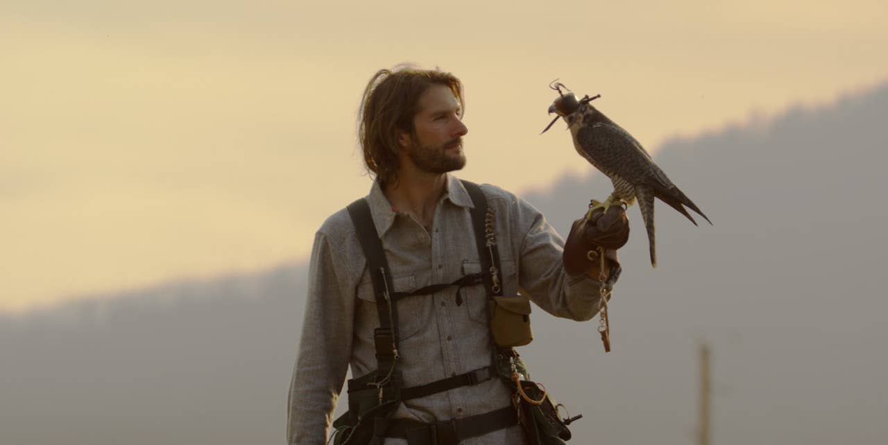 Inside the mind of a pro hang glider pilot, with a falcon for a ...