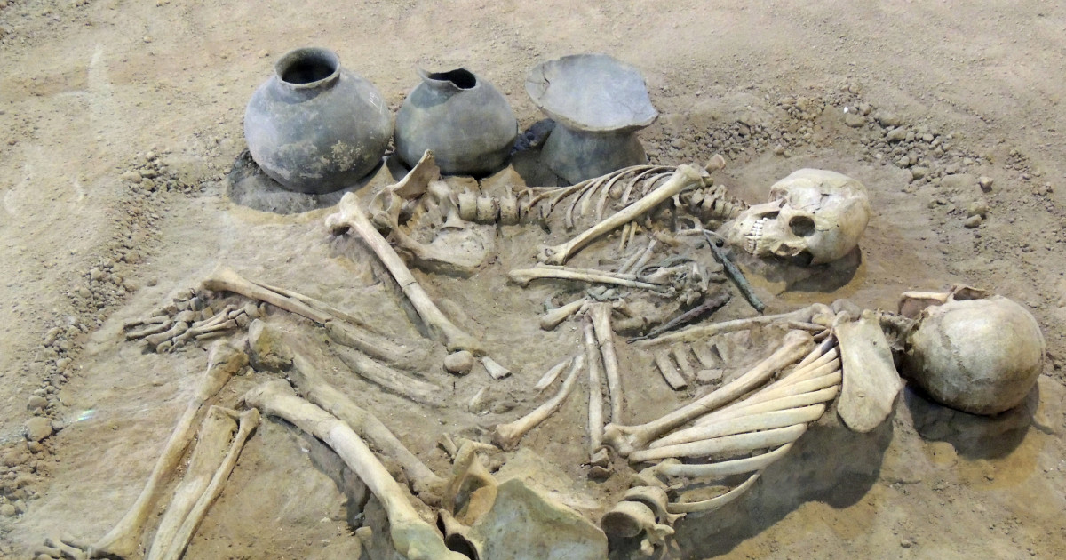 Hundreds of Bone Fragments Linked to Ancient Mayan Blood Sacrifices ...