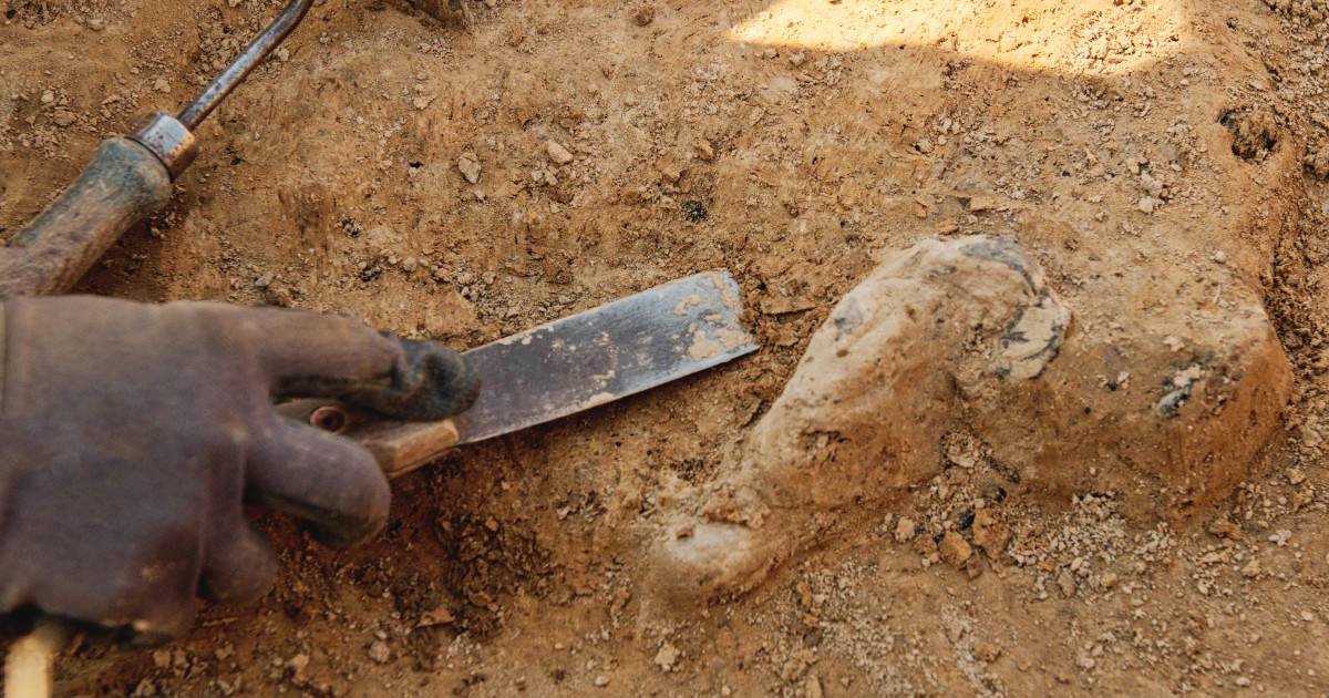 Archaeologists Find Rare, Complete Kit of Pre-Roman Iron Tools - Men's ...