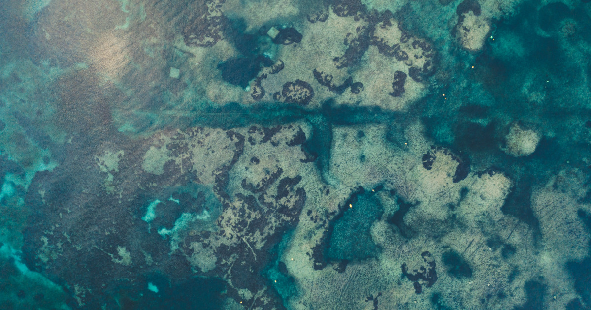 Titan Sub Implosion Widow Breaks Silence in Heartbreaking Update - Men's Journal